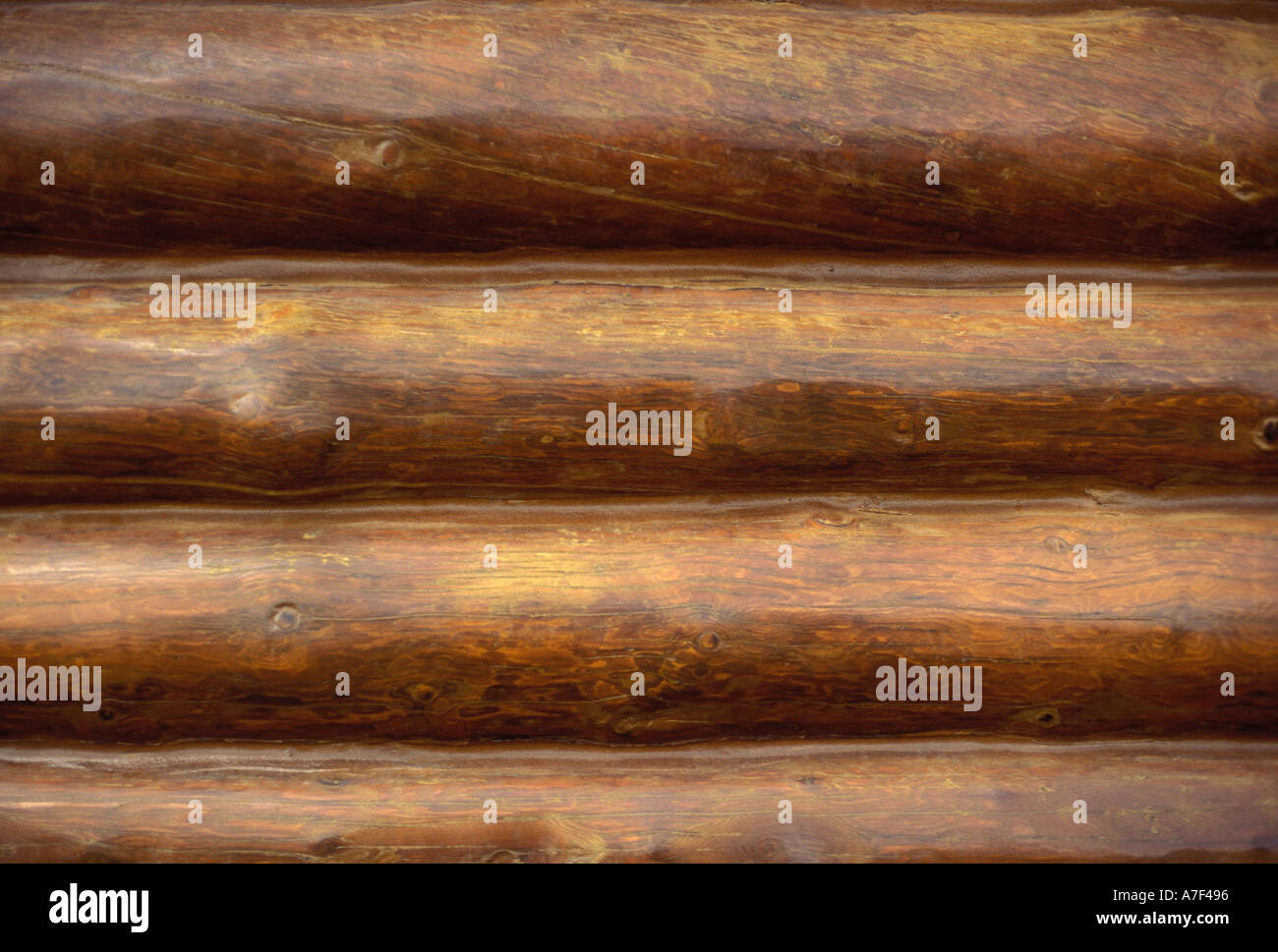 Log cabin wall with a smooth glossy finish Stock Photo - Alamy