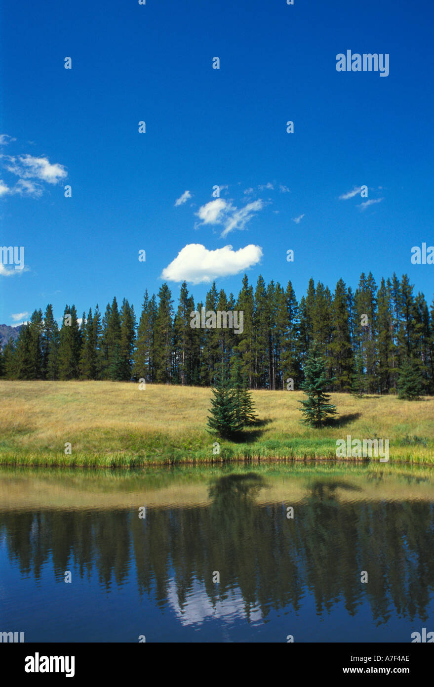 Small farm under trees hi-res stock photography and images - Alamy