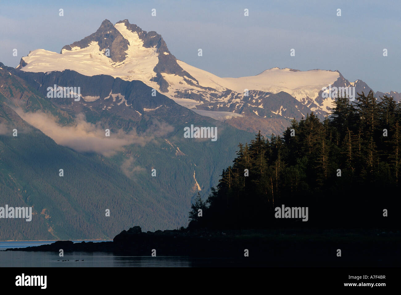 USA Alaska Setting sun lights Chilkat Range peaks above Lynn Canal near ...