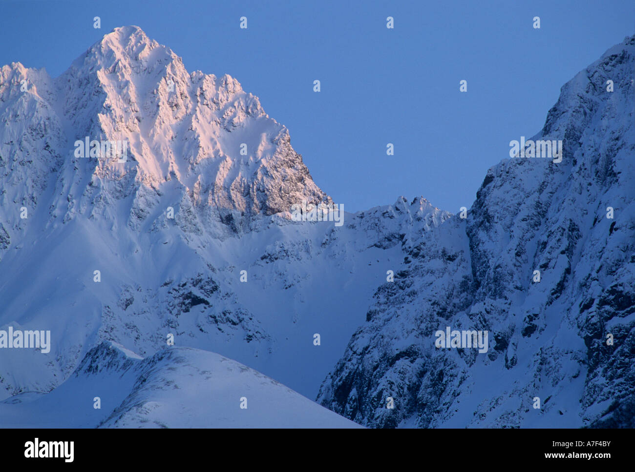 USA Alaska Chugach National Forest Alpenglow lights Chugach Range peaks ...