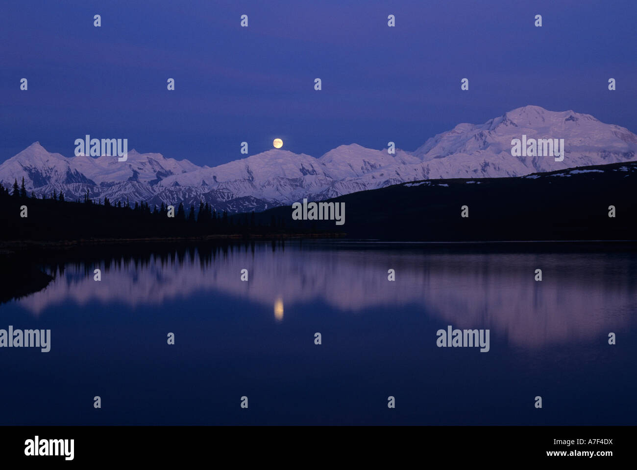 USA Alaska Denali National Park Full moon rises above Mount McKinley ...