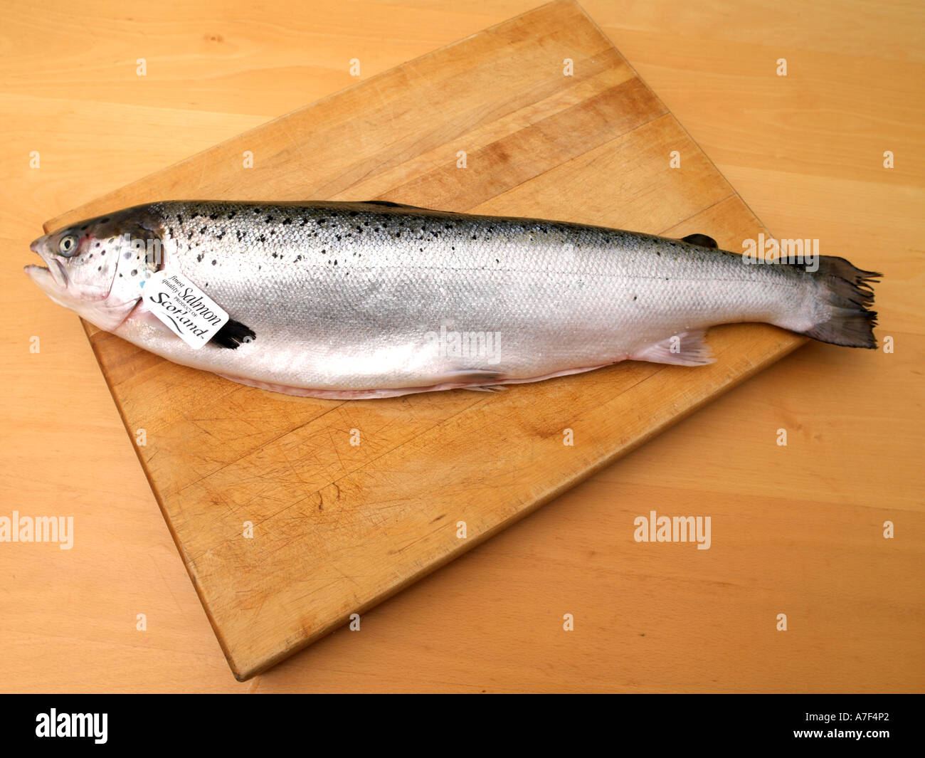 Salmon from Scotland Whole Fish Label Stock Photo - Alamy