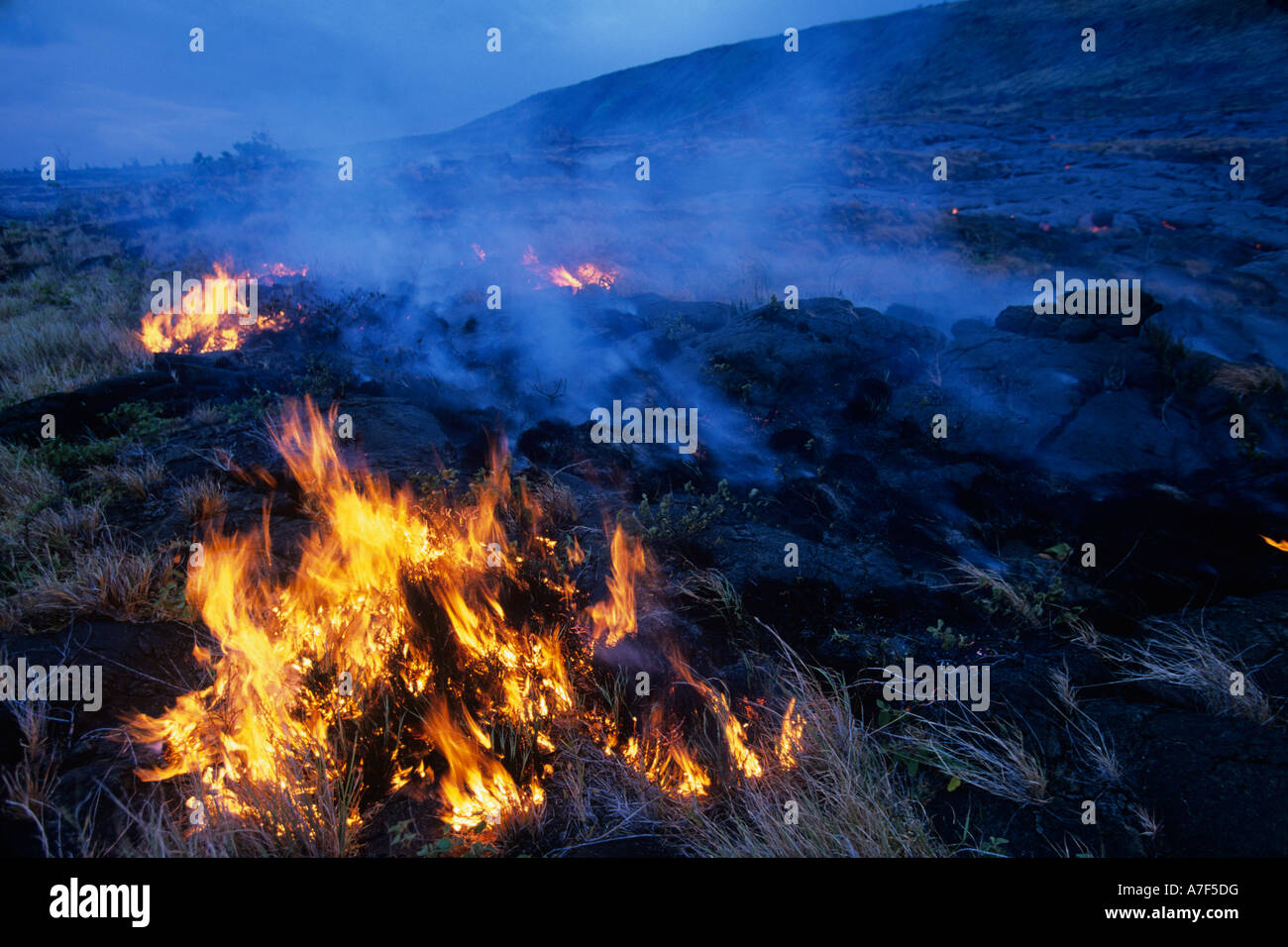 USA Hawaii Volcanoes National Park Wildfires burn as molten lava pours ...