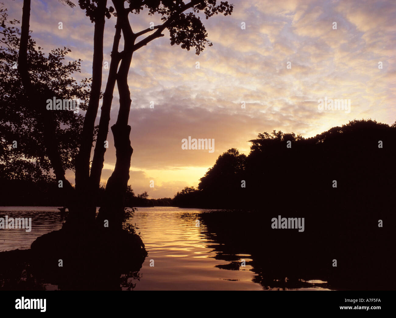 Salhouse Broad Norfolk High Resolution Stock Photography and Images - Alamy