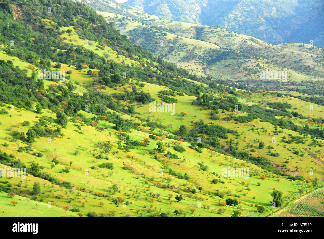 Chile wine country Colchagua Valley mountains Stock Photo - Alamy