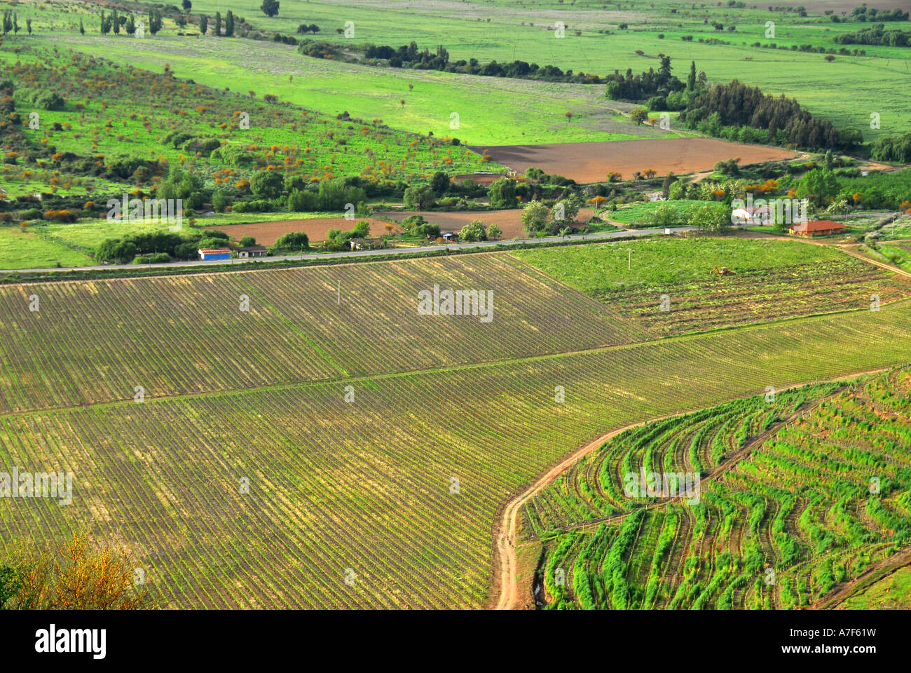 Chile wine country above Colchagua Valley vineyards Stock Photo - Alamy