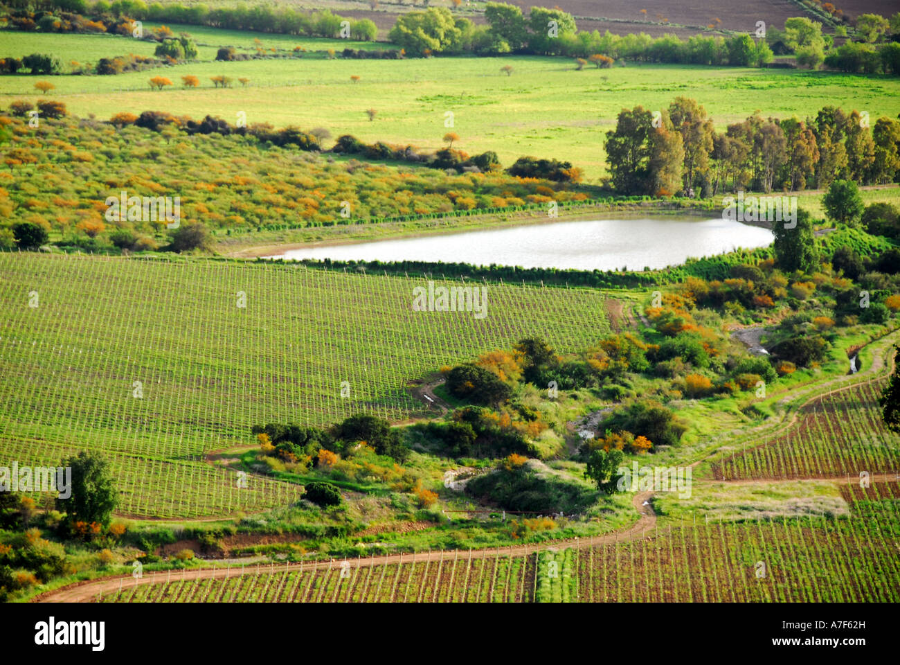 Chile wine country above Colchagua Valley Stock Photo - Alamy