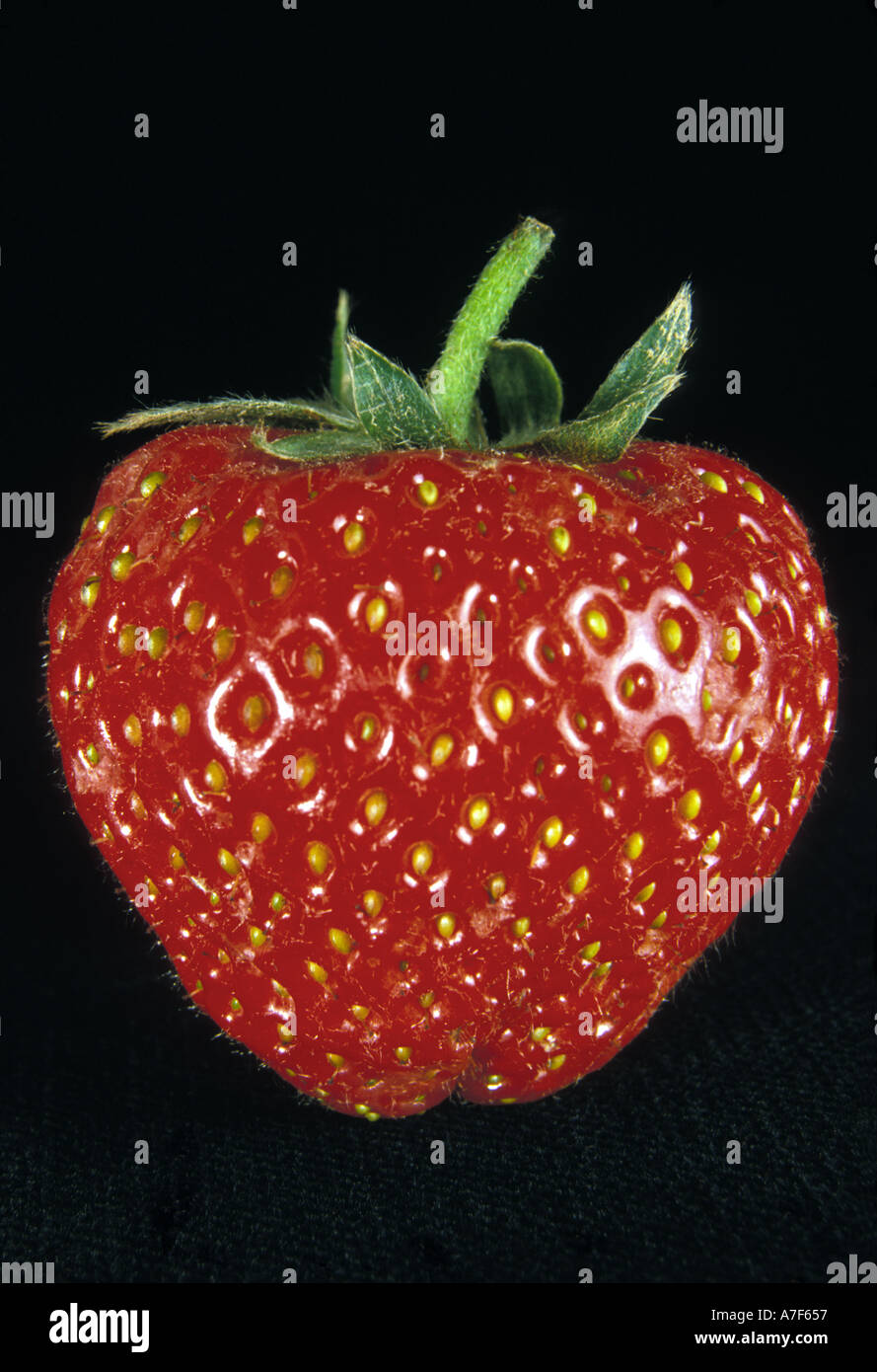 Single stawberry hi-res stock photography and images - Alamy
