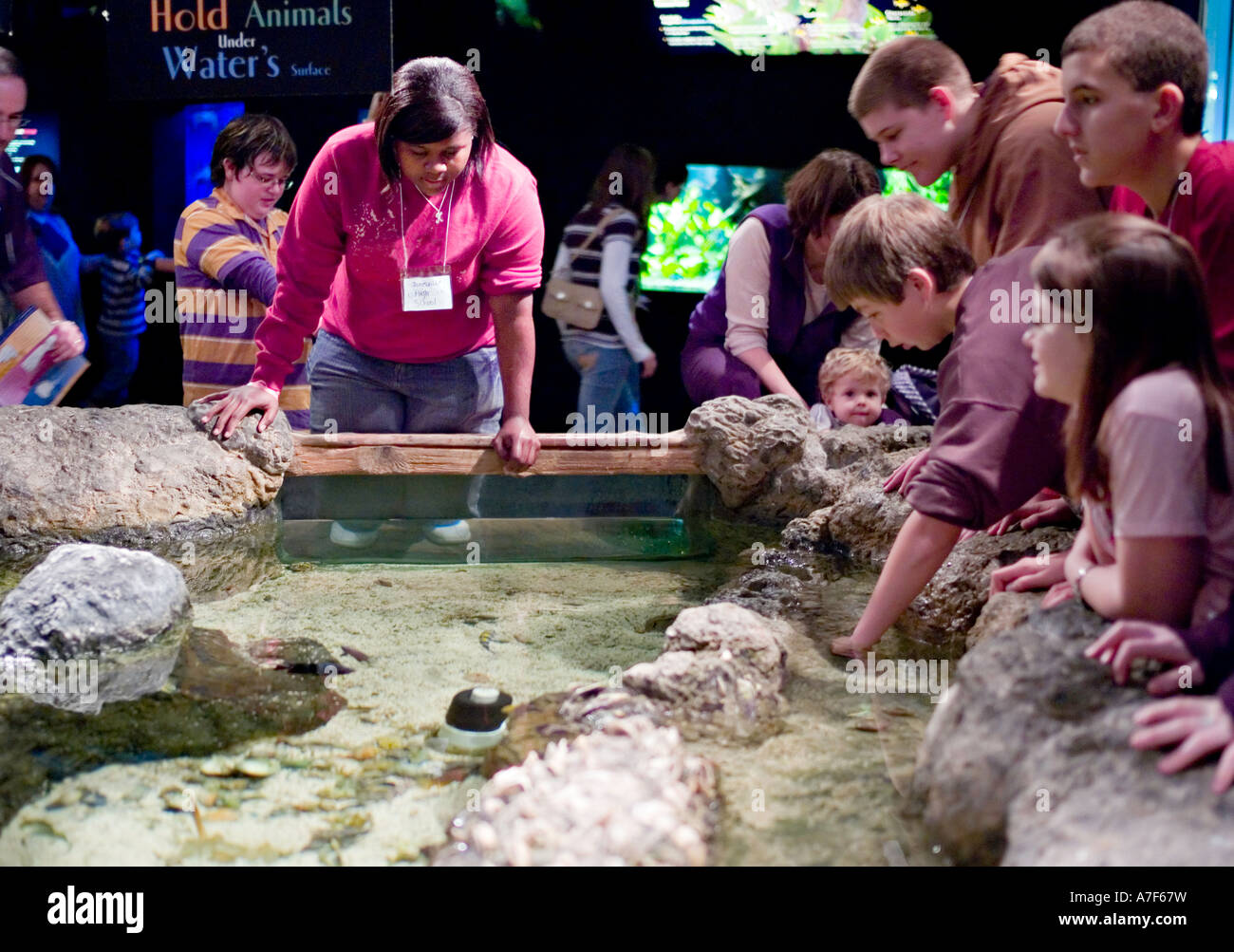 Interactive ocean museum exhibit hi-res stock photography and images ...