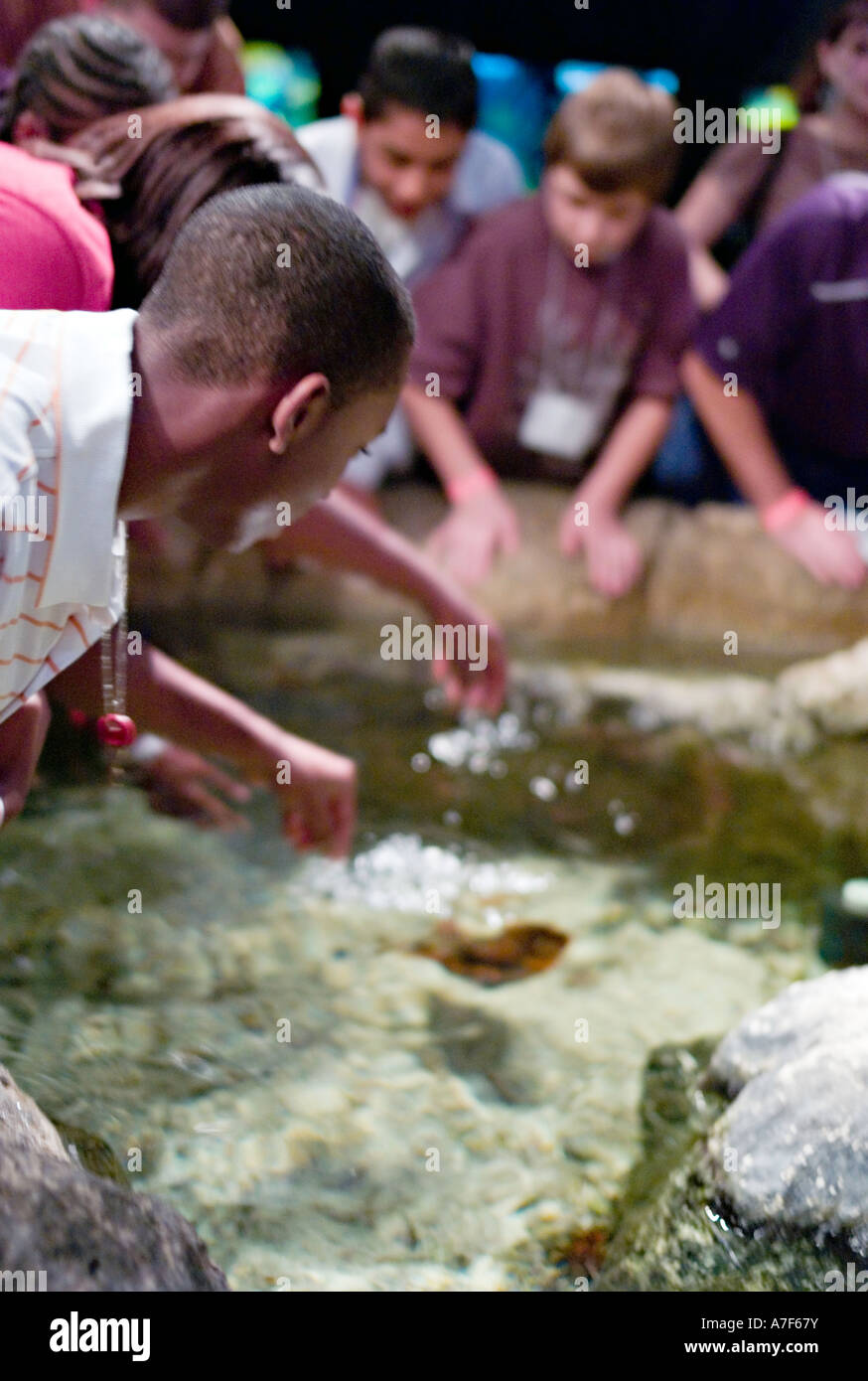 Interactive ocean museum exhibit hi-res stock photography and images ...