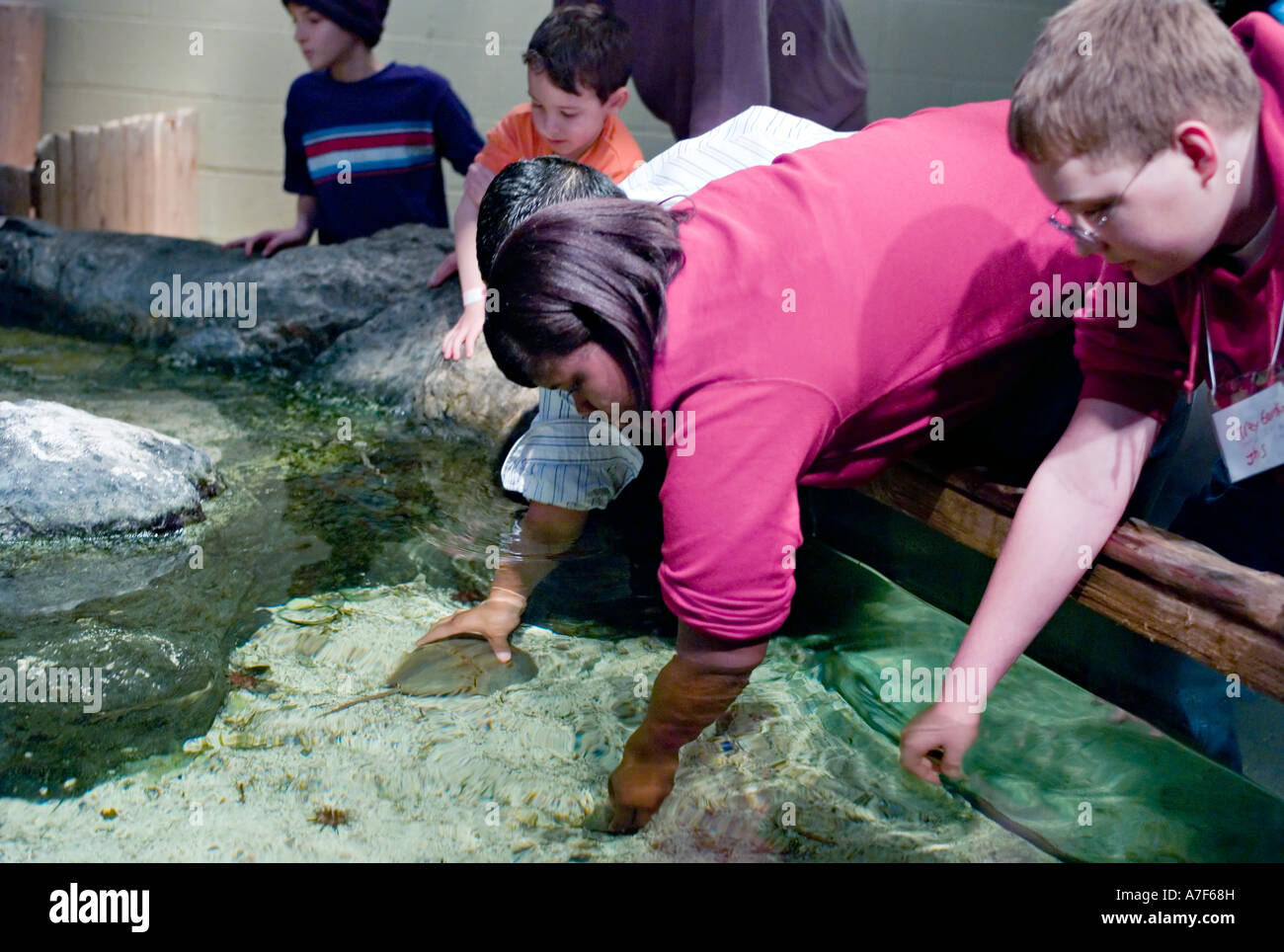Interactive ocean museum exhibit hi-res stock photography and images ...