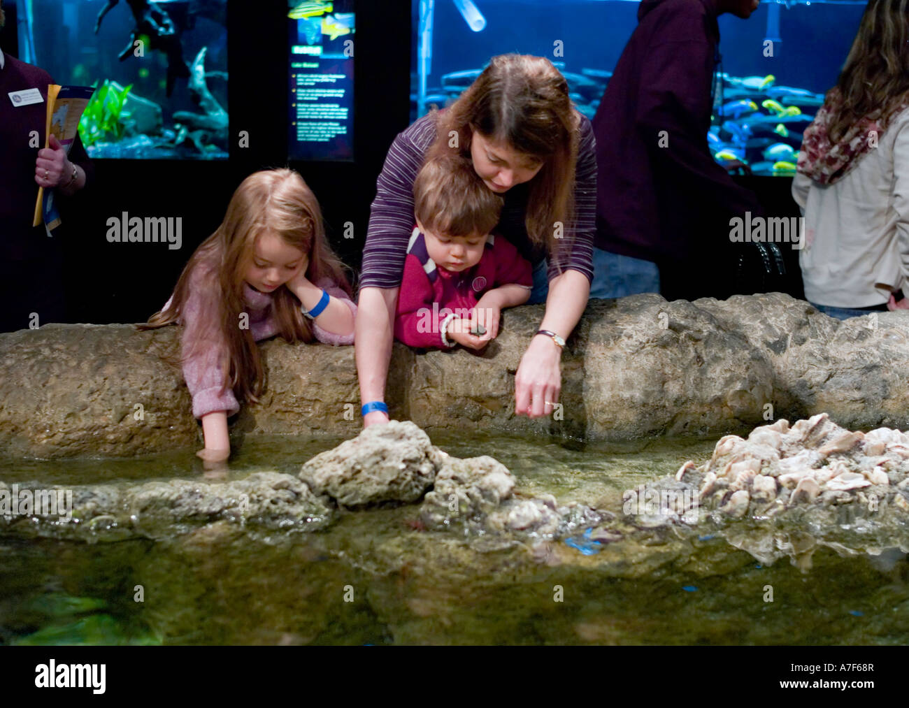 Interactive ocean museum exhibit hi-res stock photography and images ...