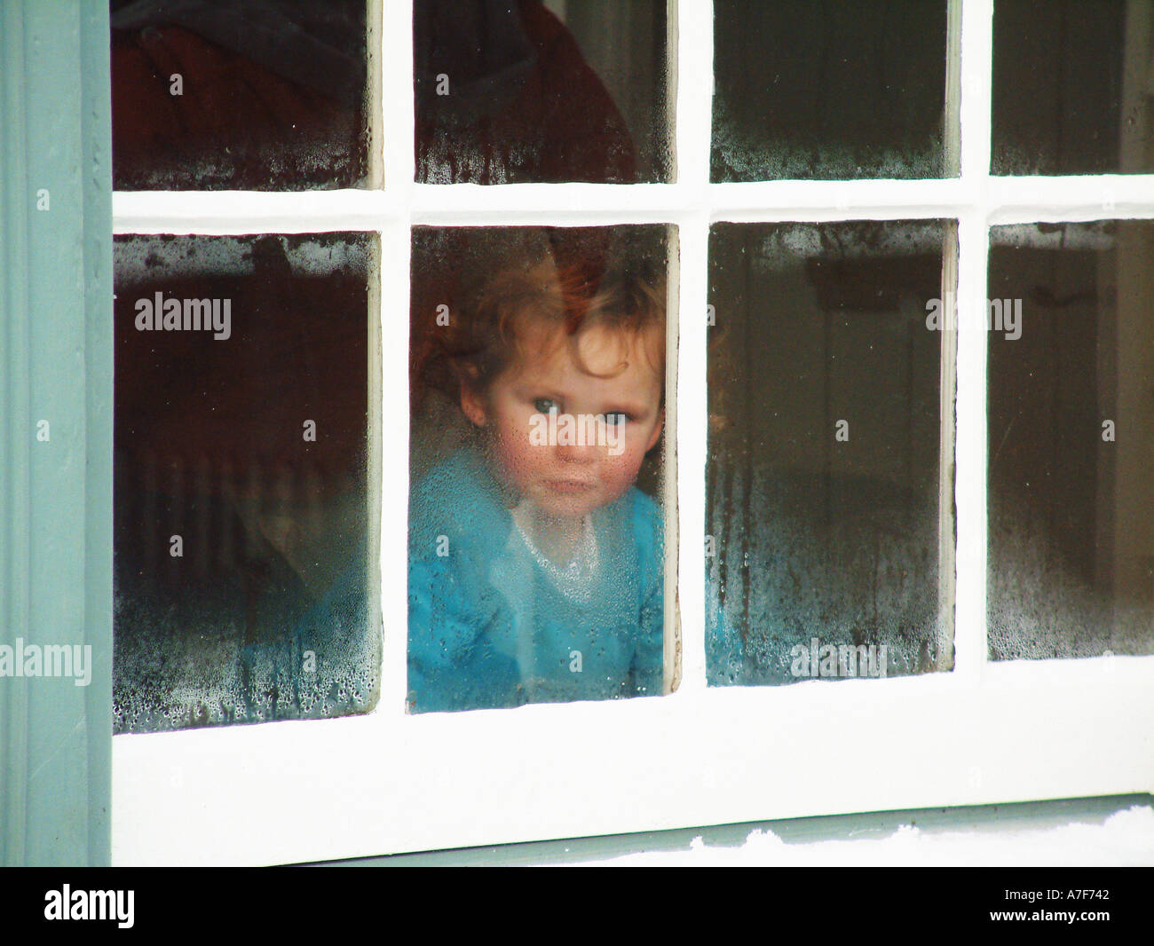 Gazing Through Window Stock Photo - Alamy