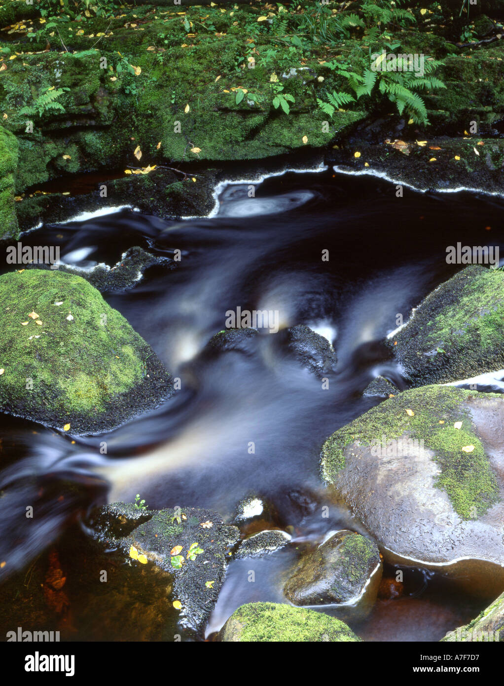 Golspie burn hi-res stock photography and images - Alamy