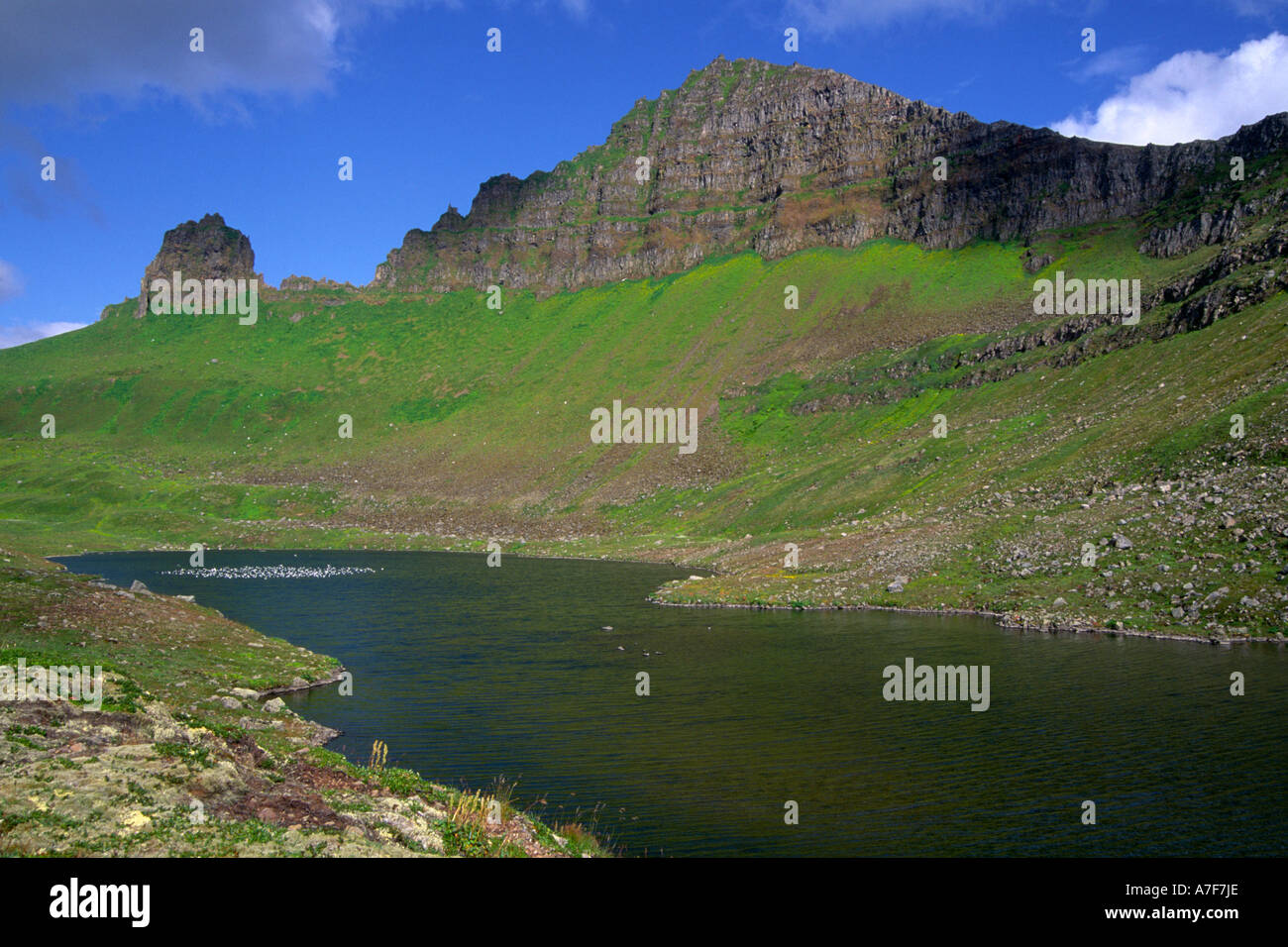 Hornbjarg iceland hi-res stock photography and images - Alamy