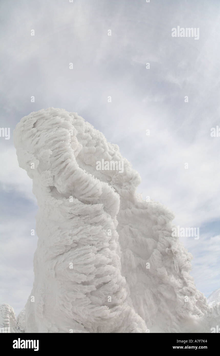 Snow Monsters - Trees with snow frozen on to them in winter Mount ...