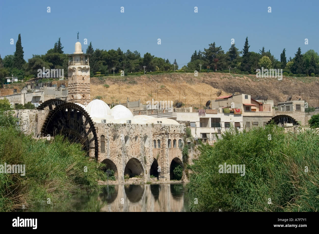 mosque water wheel on the Orontes River Hama Syria Middle East Stock ...