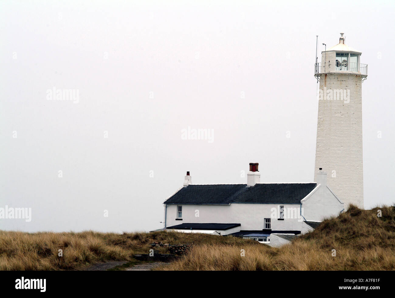 Walney island wildlife hi-res stock photography and images - Alamy