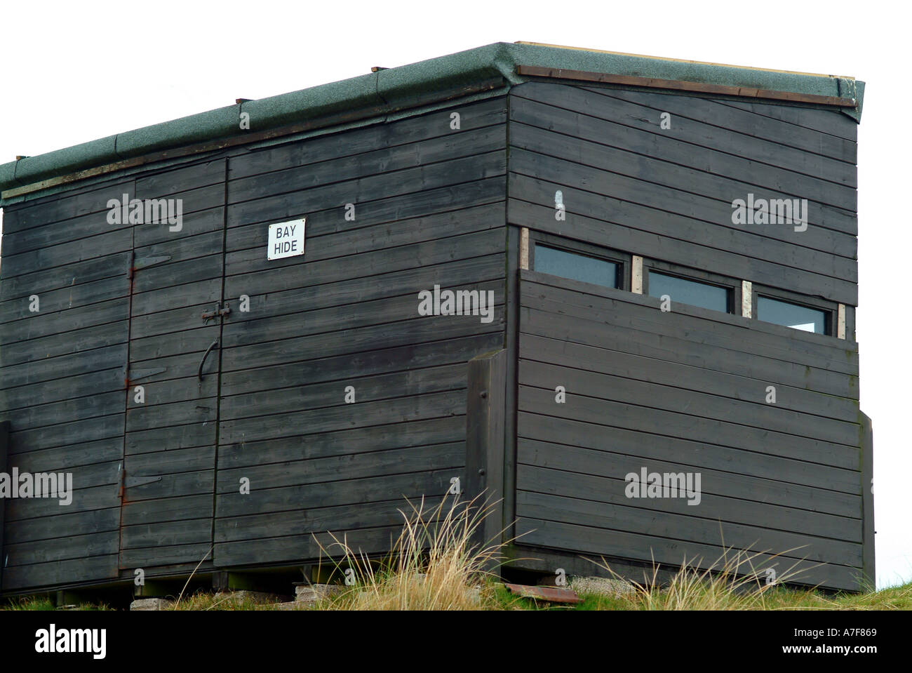 Walney island birds hi-res stock photography and images - Alamy