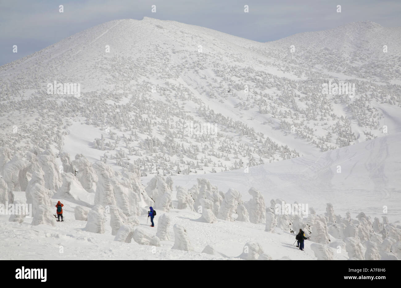 Aomori city japan snow hi-res stock photography and images - Alamy