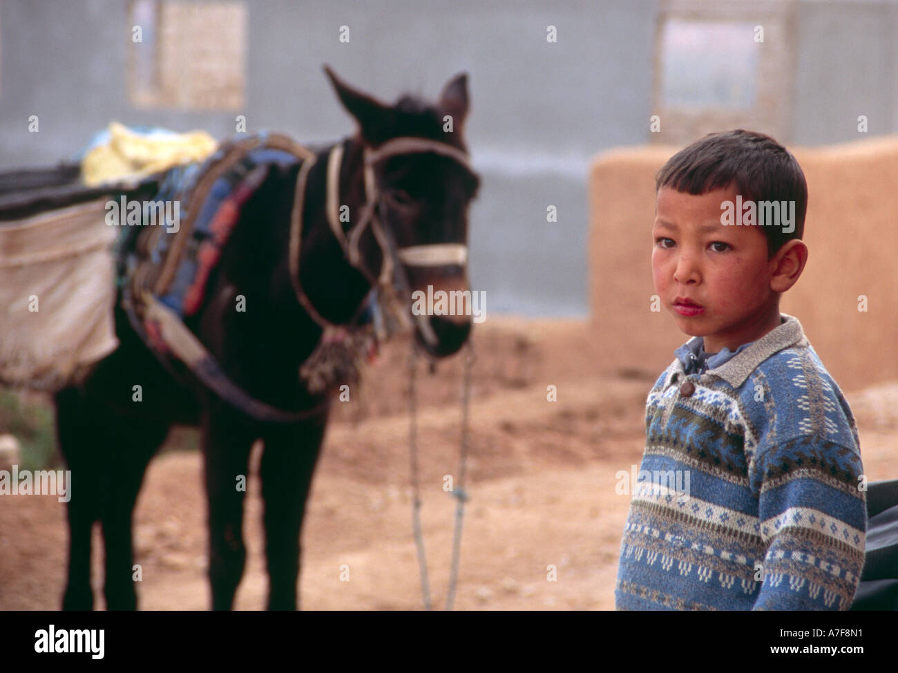 Berber kid hi-res stock photography and images - Alamy