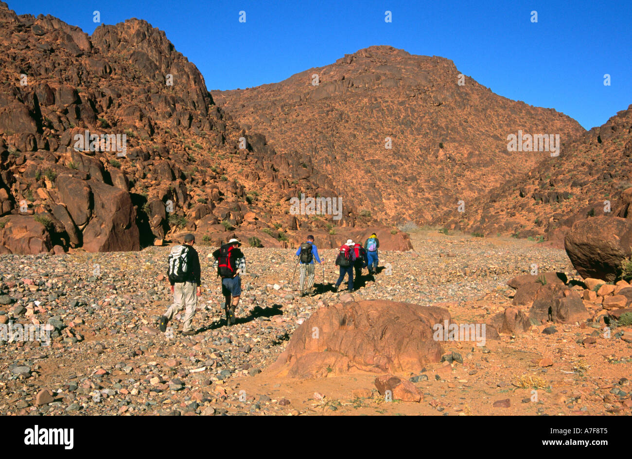 Sahro hi-res stock photography and images - Alamy