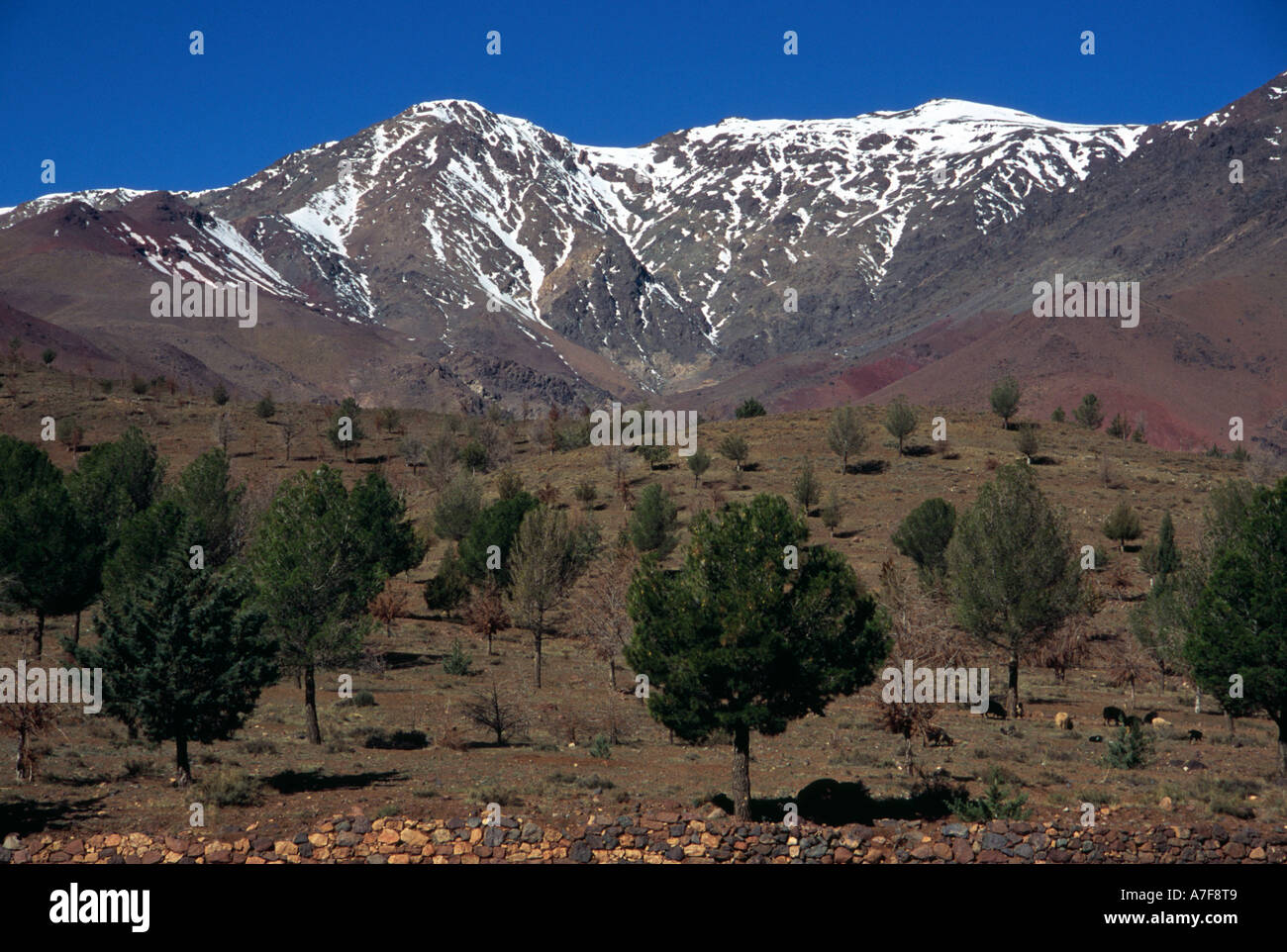 Tizi n tichka morocco hi-res stock photography and images - Alamy