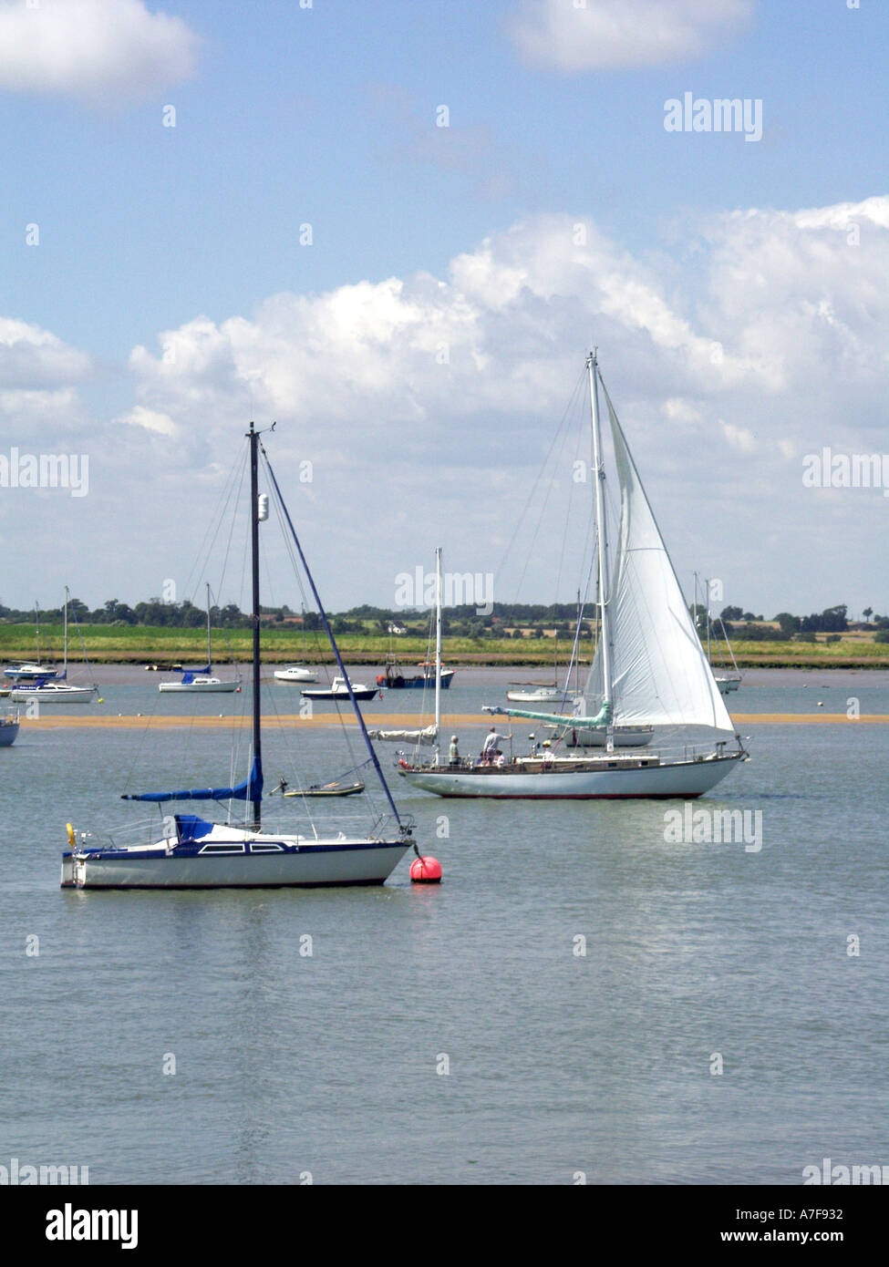 Sailing boats on The River Deben close to its estuary near Bawdsey ...