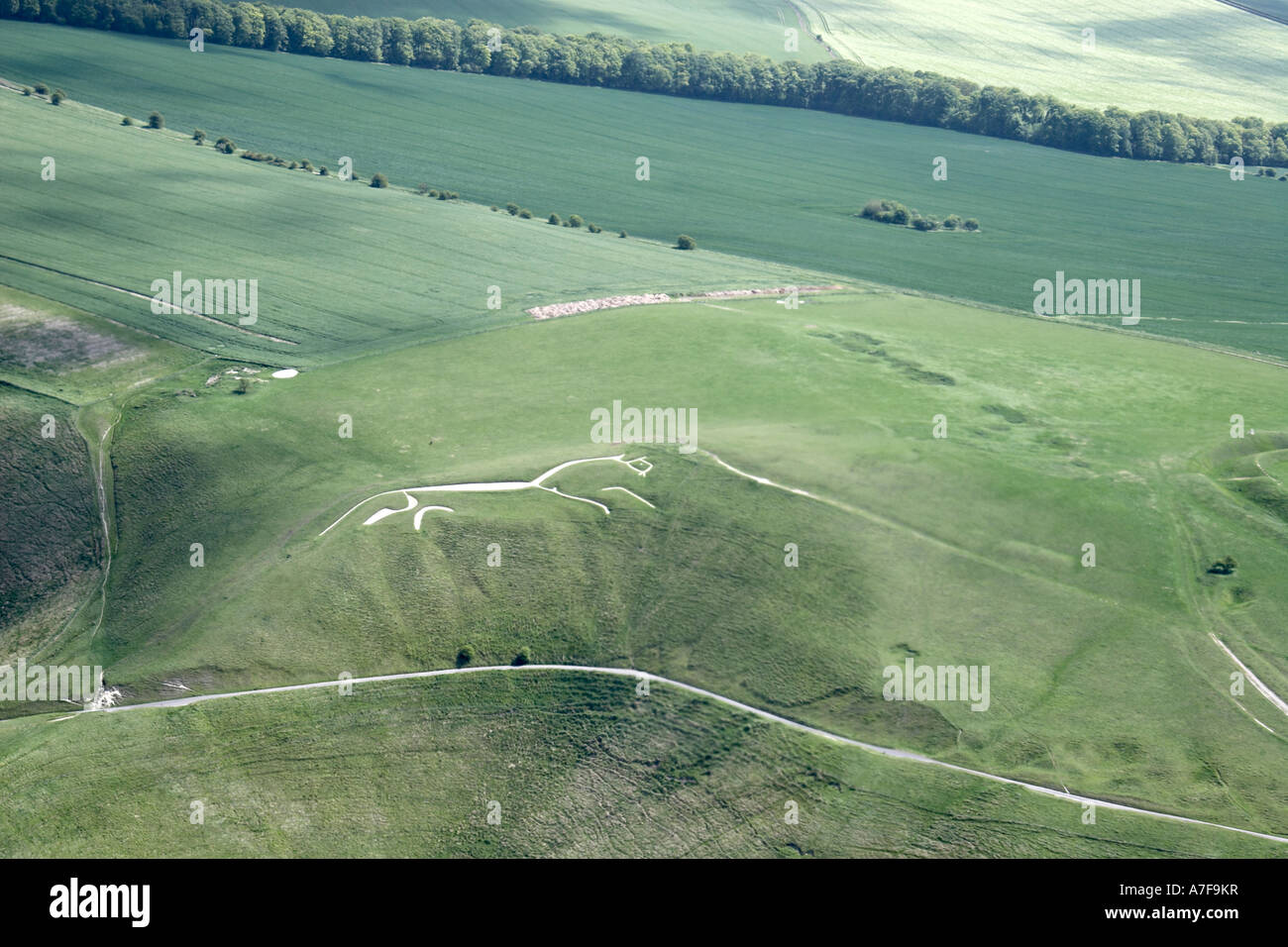 High level oblique aerial view south of Uffington White Horse on ...