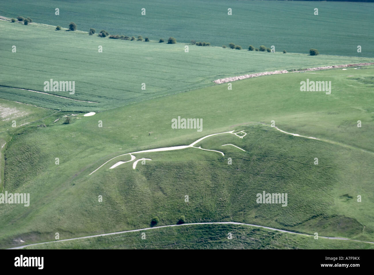High level oblique aerial view south of Uffington White Horse on ...