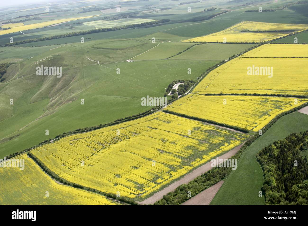 High level oblique aerial view south west of Uffington White Horse in ...