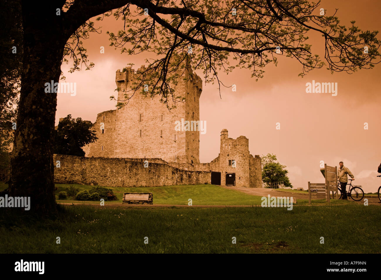 Ross Castle Killarney Co Kerry Ireland Stock Photo - Alamy