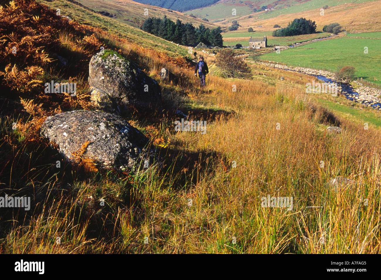 Rhobell hi-res stock photography and images - Alamy