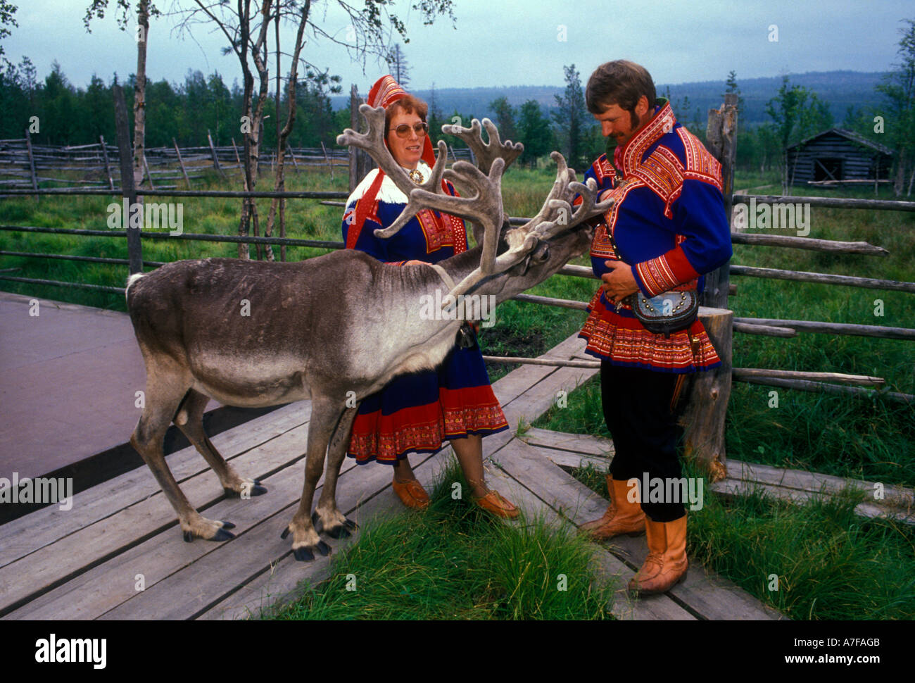 Sami people with reindeer, Sami woman, Sami man, reindeer Stock Photo ...