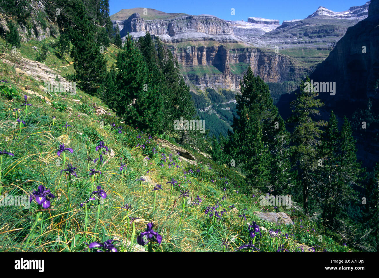 Pelay hi-res stock photography and images - Alamy