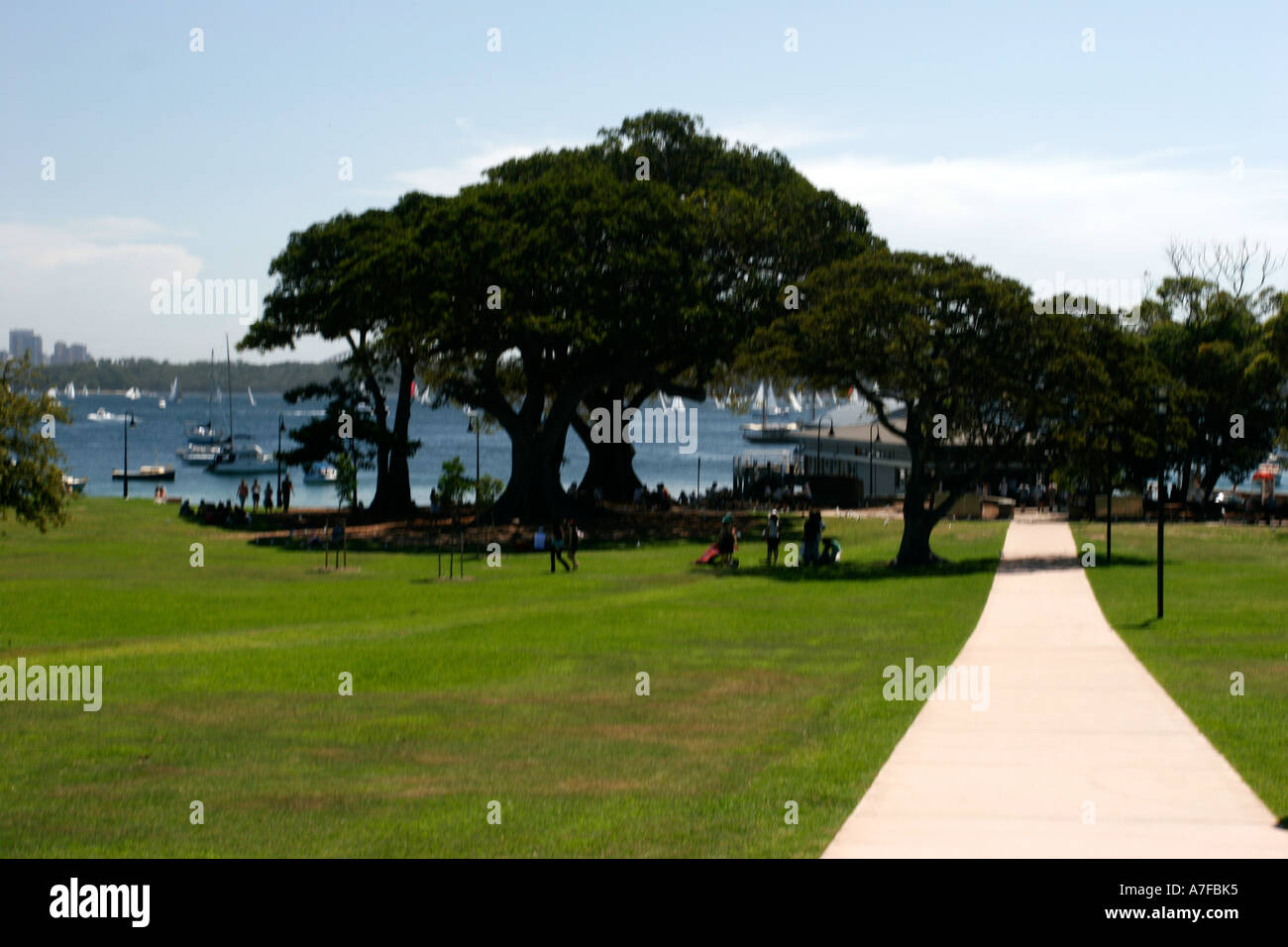 Rushcutters bay Sydney New South Wales Australia Stock Photo - Alamy