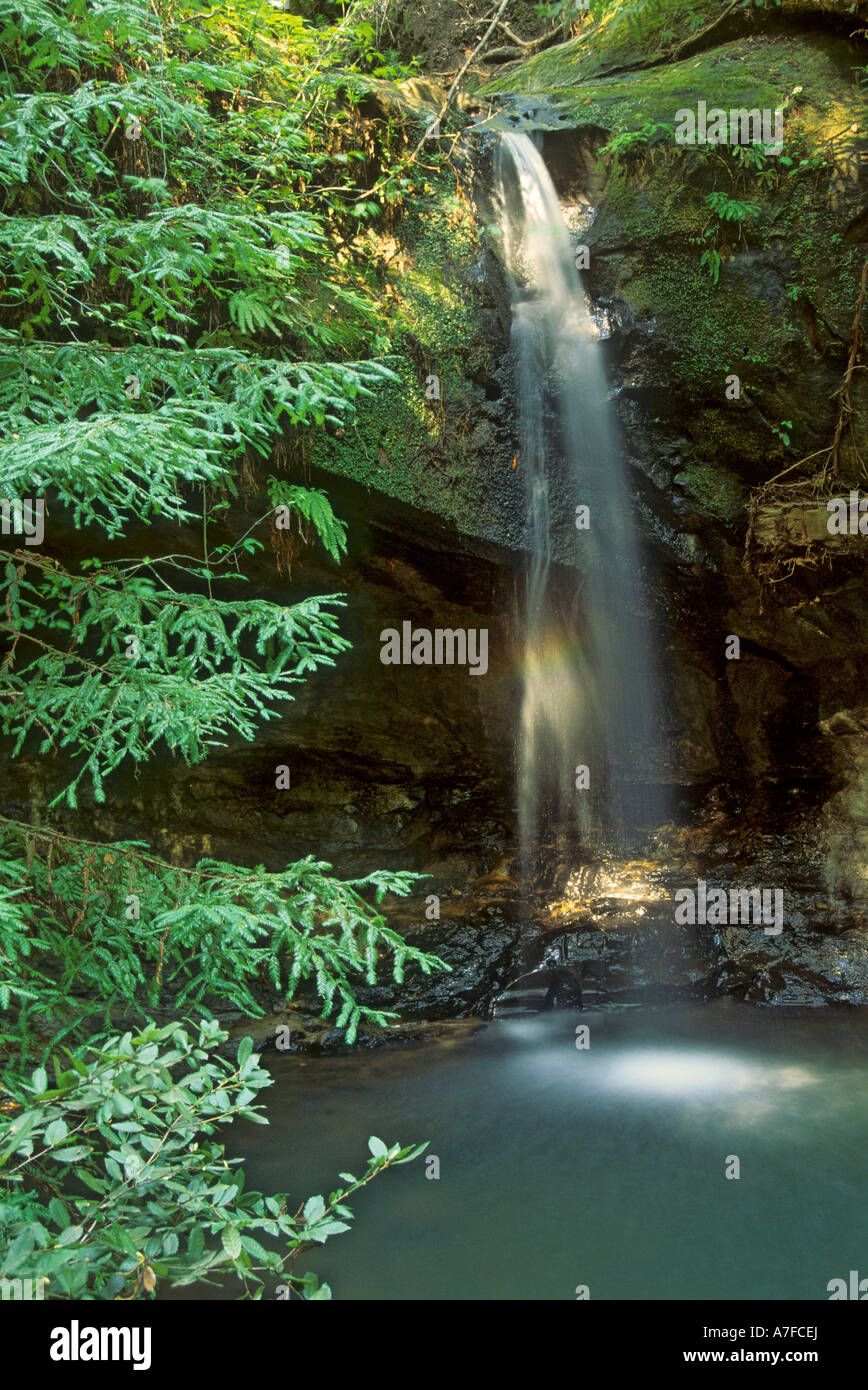 Big basin waterfall hi-res stock photography and images - Alamy