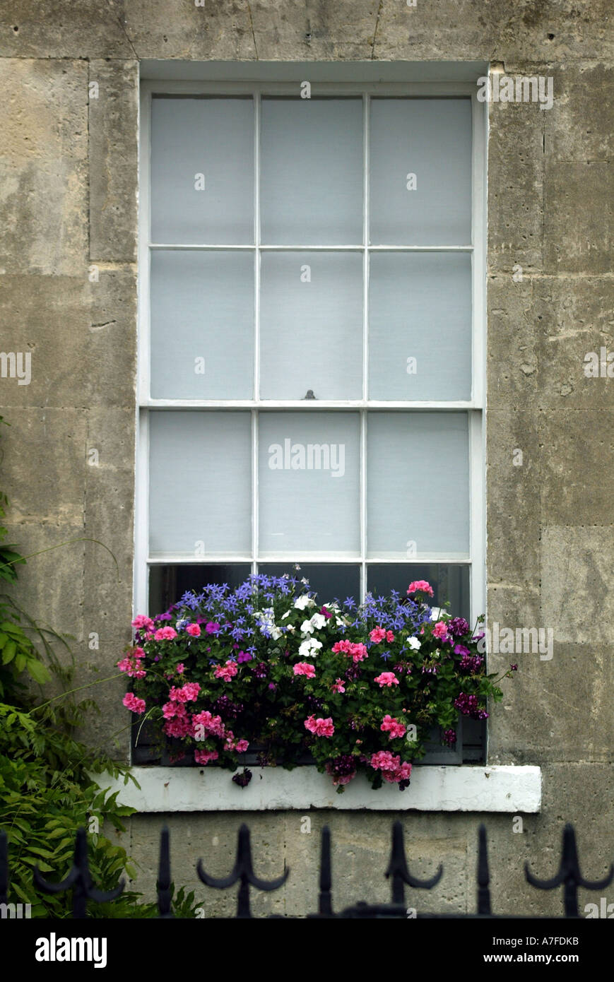 A window and window box in a Georgian House in Bath, Somerset Stock ...