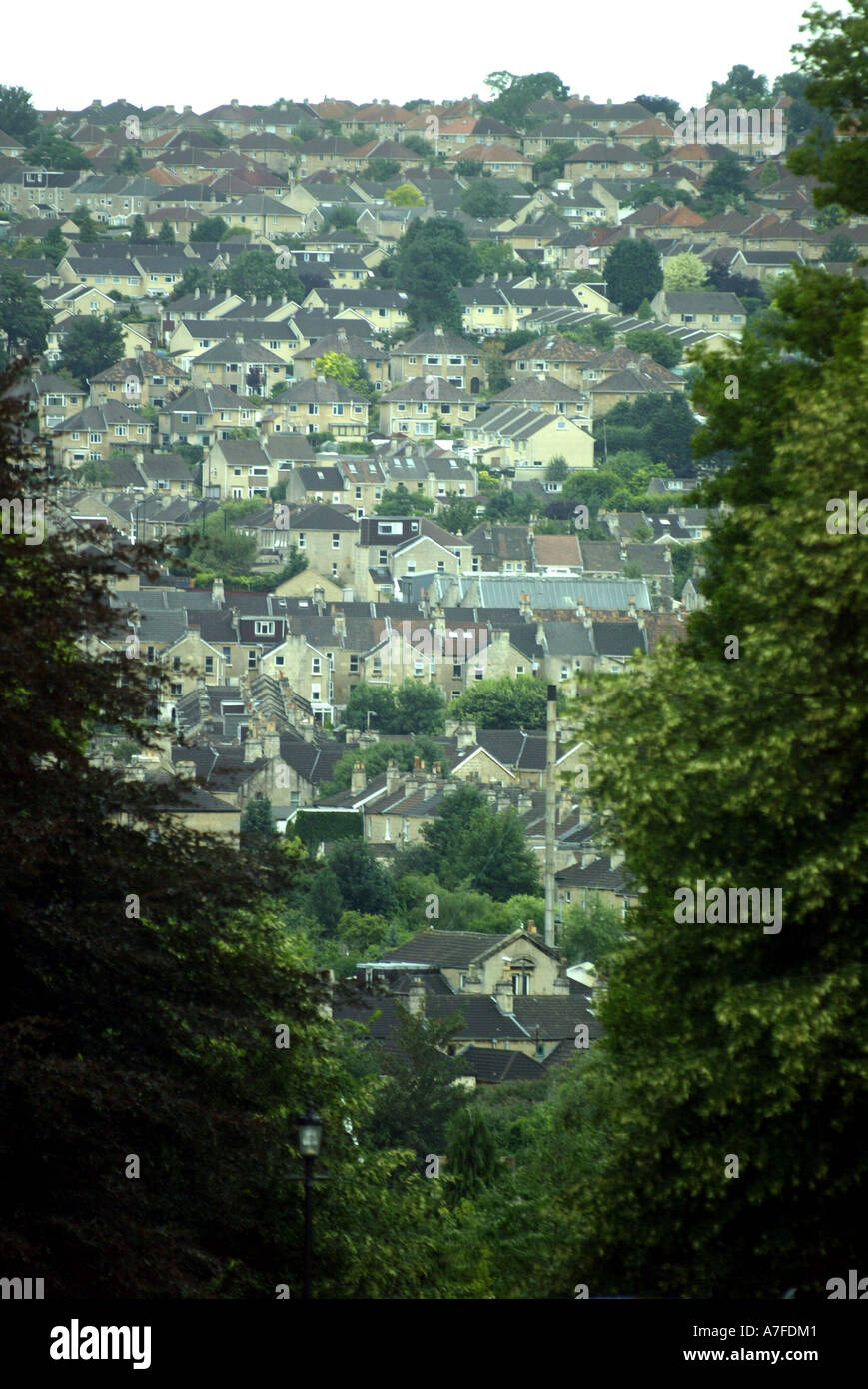 A view of urban development on a hillside in Bath Stock Photo - Alamy