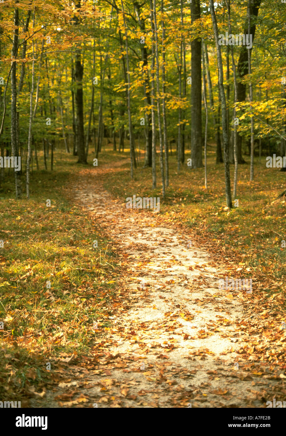 Door co hi-res stock photography and images - Alamy