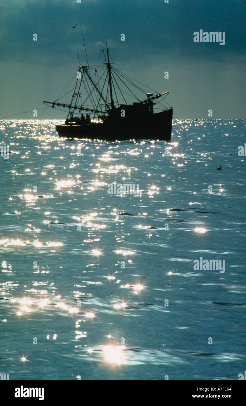 Shrimp trawler in Gulf of Mexico Stock Photo - Alamy