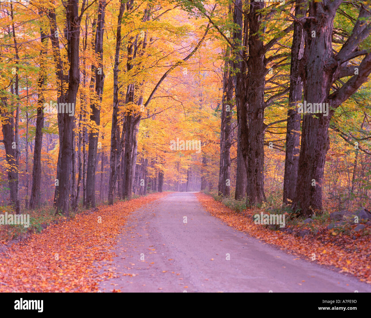 New England Road High Resolution Stock Photography and Images - Alamy