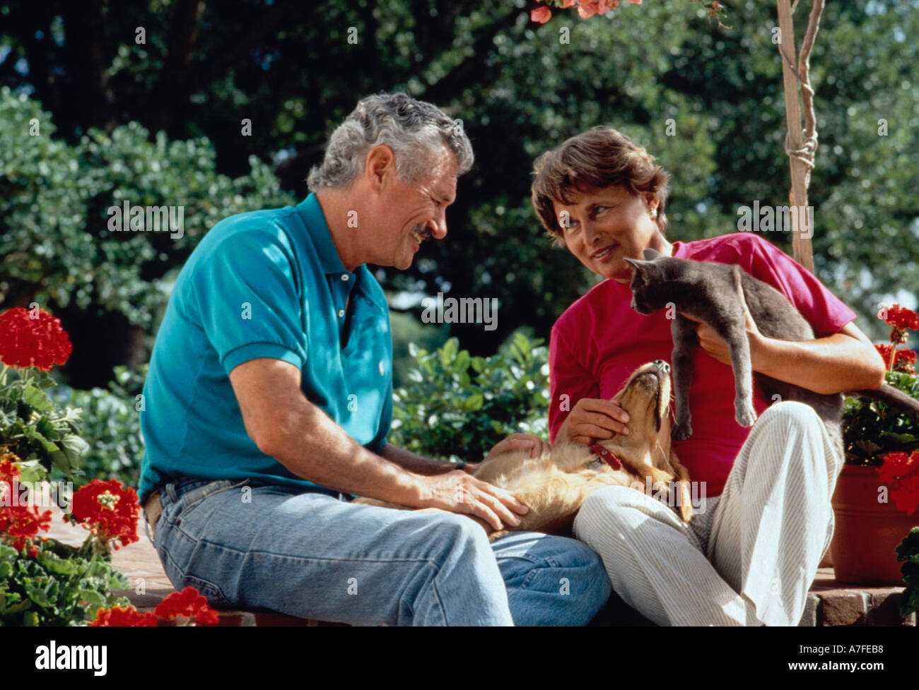 Caring for senior cat hi-res stock photography and images - Alamy