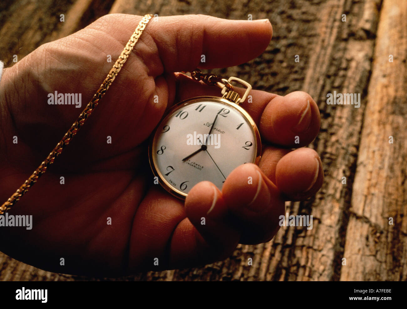 Hand holding watch Stock Photo - Alamy