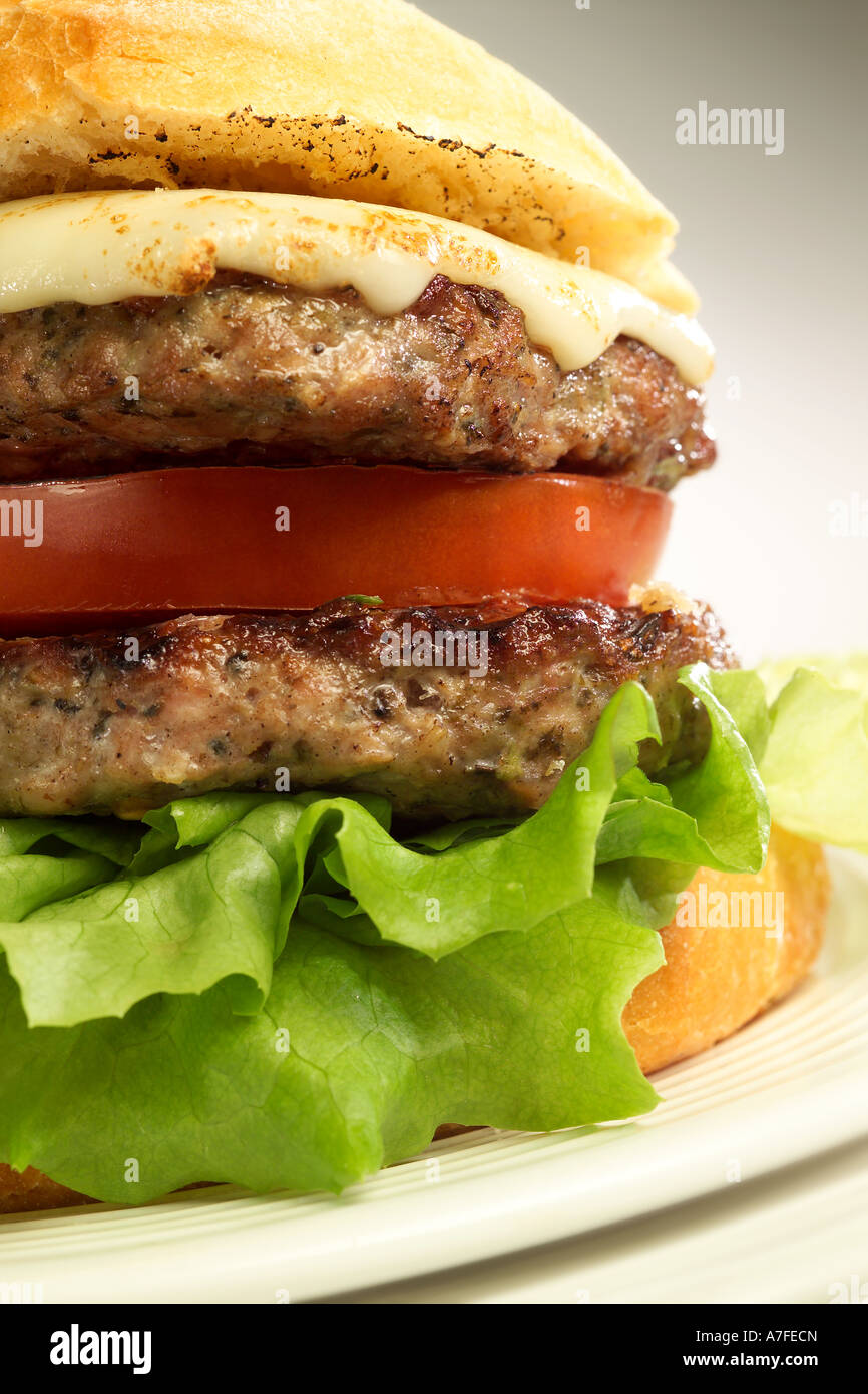 Double Cheese Burger with salad garnish in a toasted bun Stock Photo ...