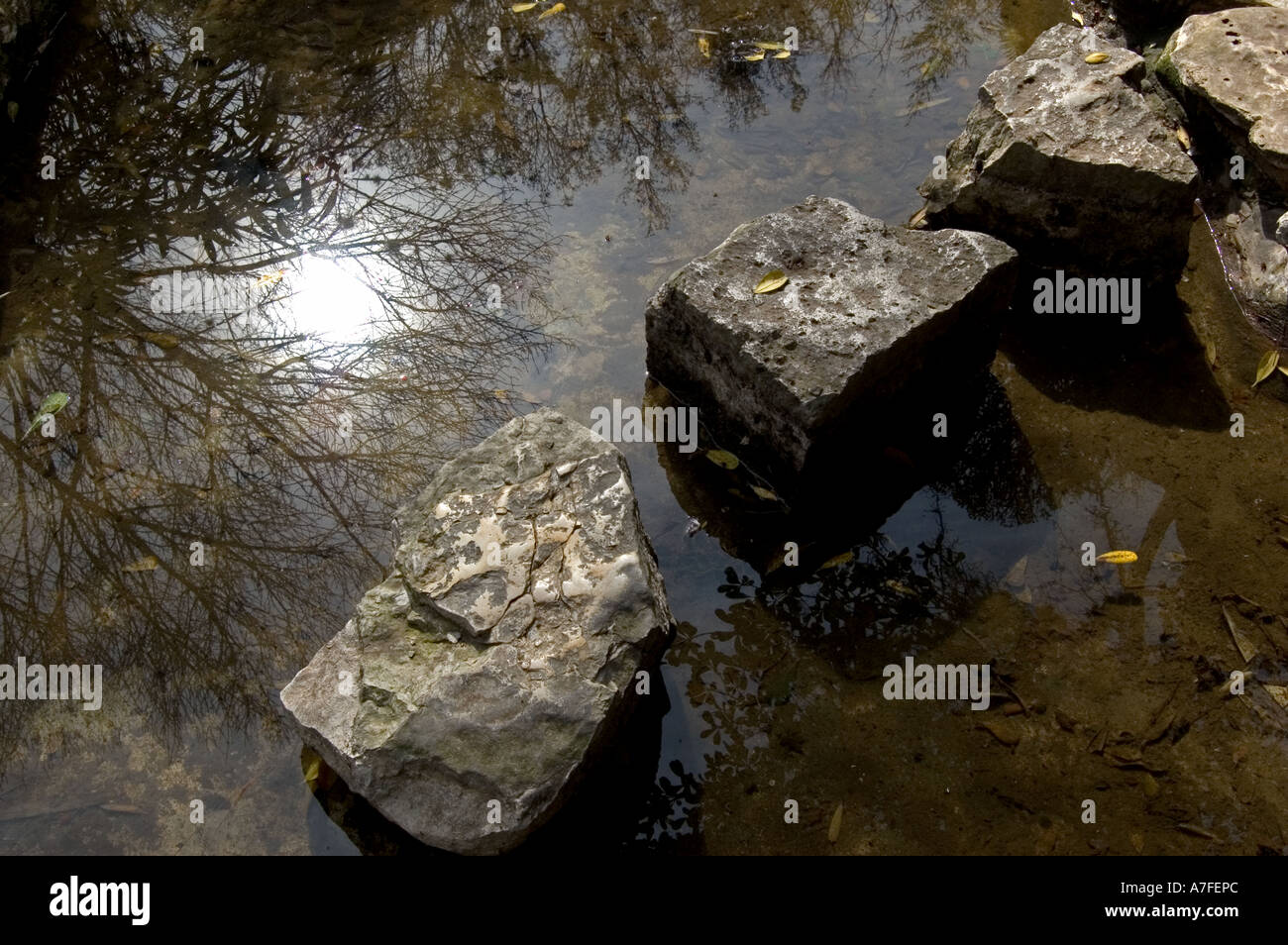 Stepping stone path pond garden hi-res stock photography and images - Alamy