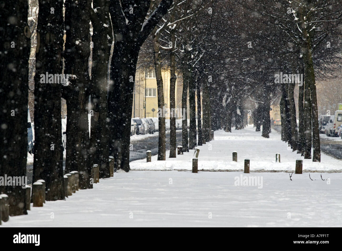 A street covered with snow on a winter´s day Stock Photo - Alamy