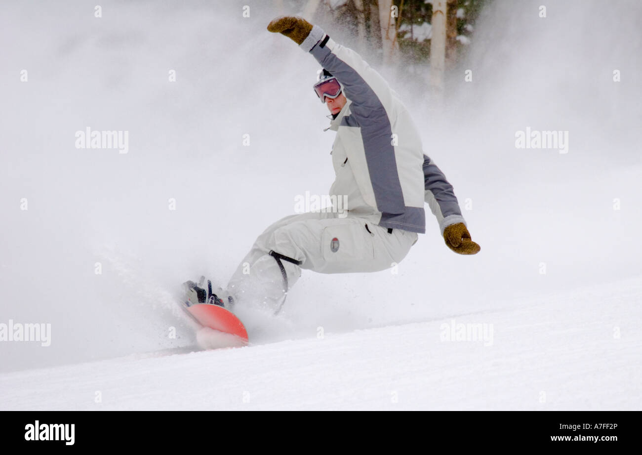 Quick stop hi-res stock photography and images - Alamy