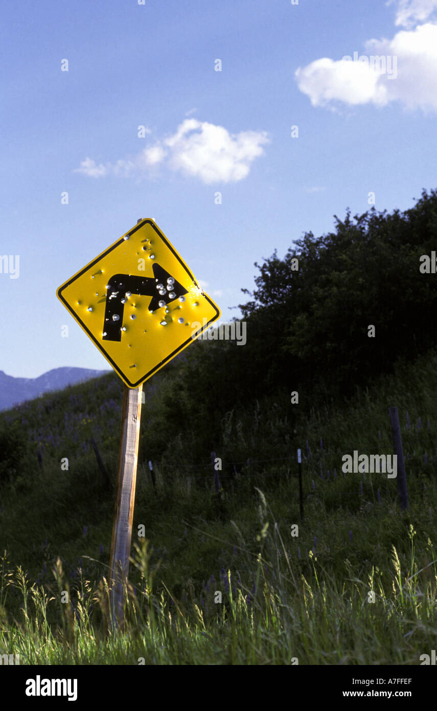 Right turn sign riddled with bullet holes on a rural roadside in ...