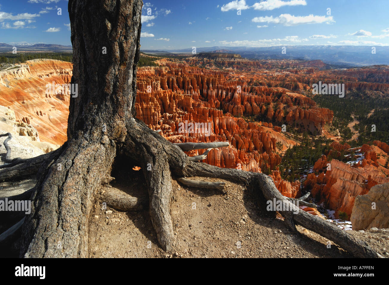 View from Inspiration Point Bryce Canyon USA Utah Stock Photo - Alamy